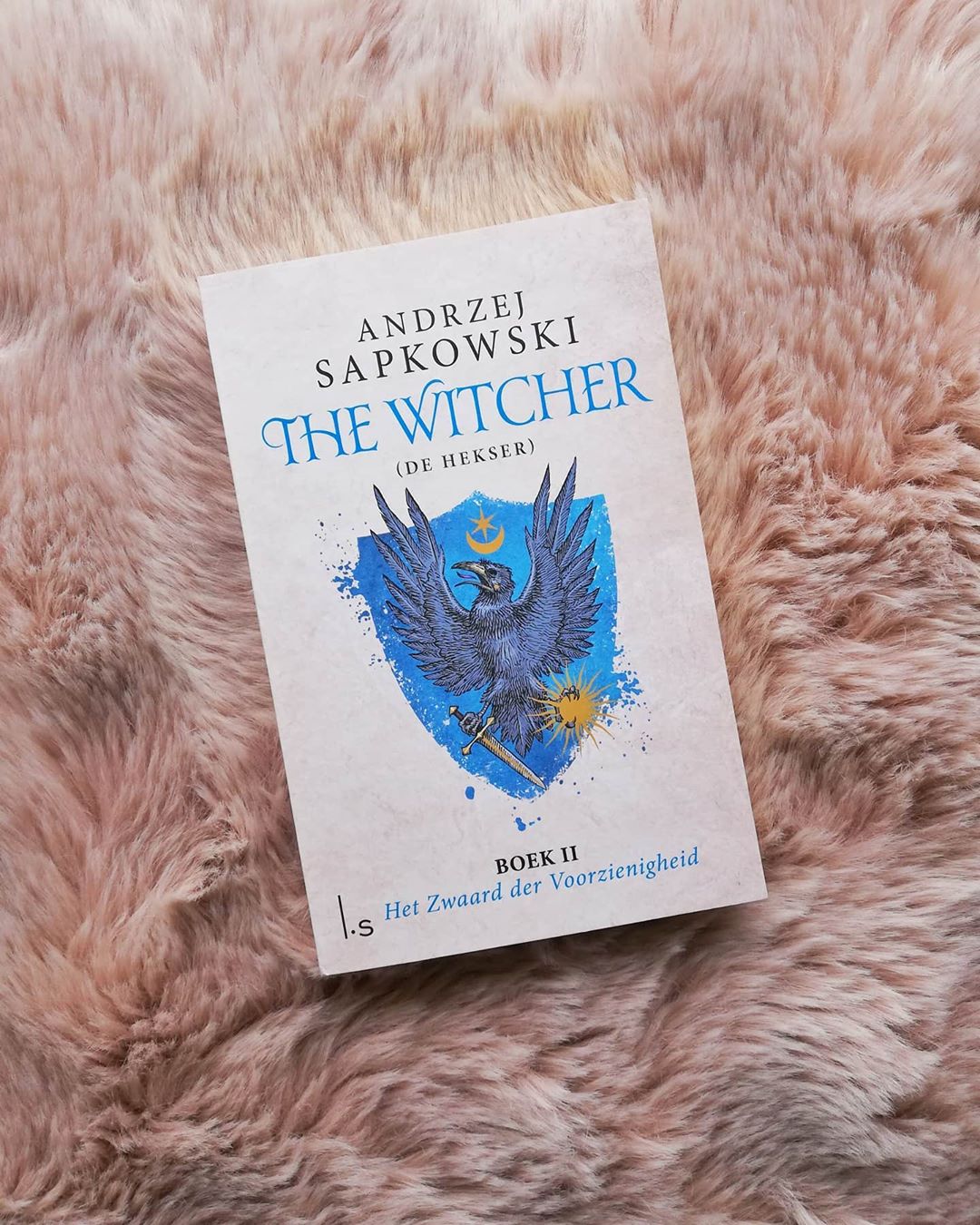 Recensie: The Witcher - Andrzej Sapkowski • So Many Books
