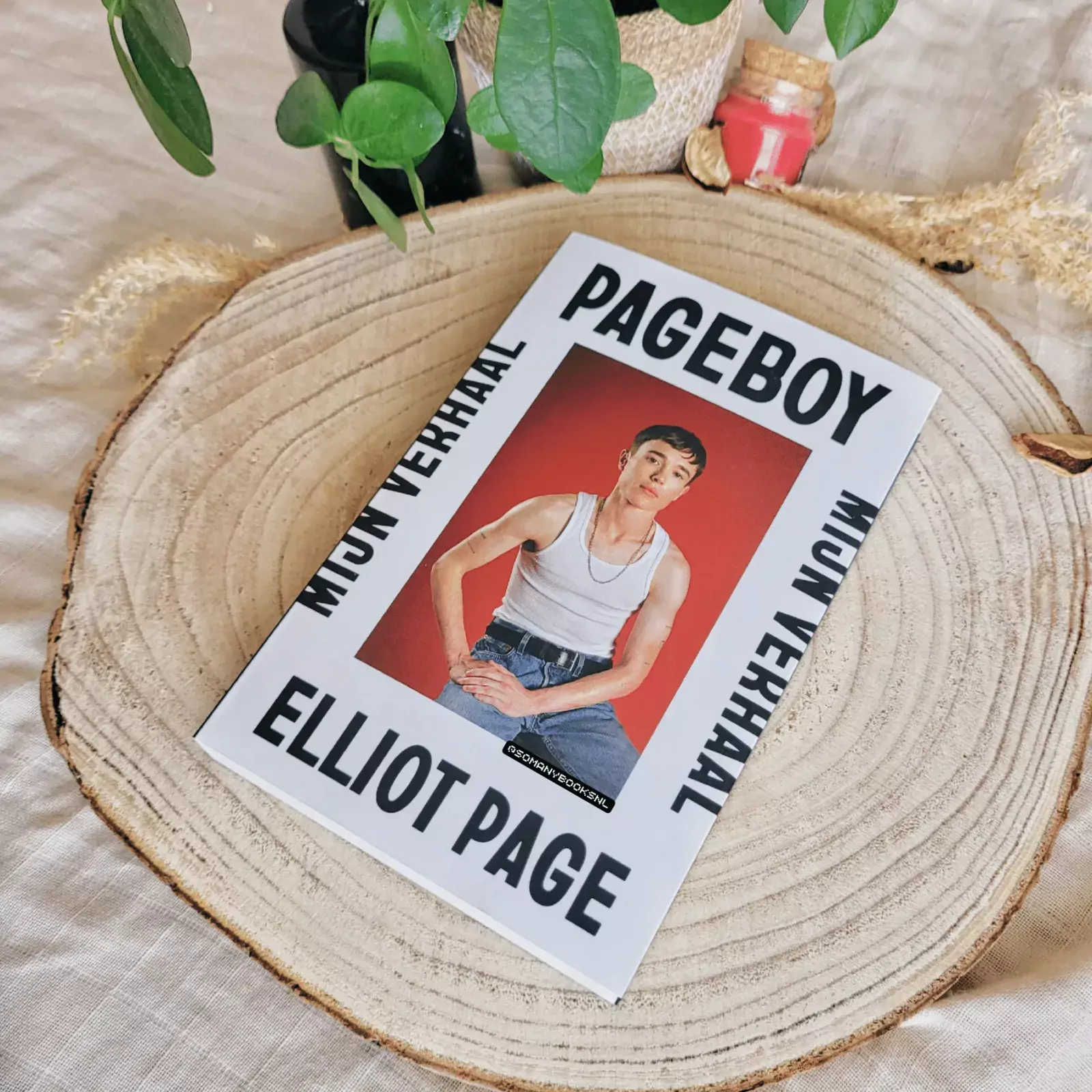 Recensie: Pageboy • So Many Books