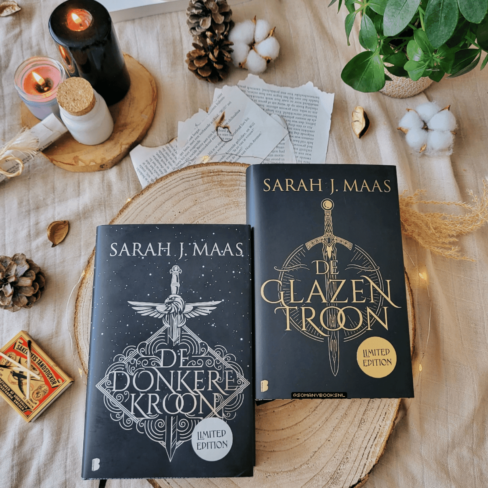 Recensie: De Donkere Kroon • So Many Books