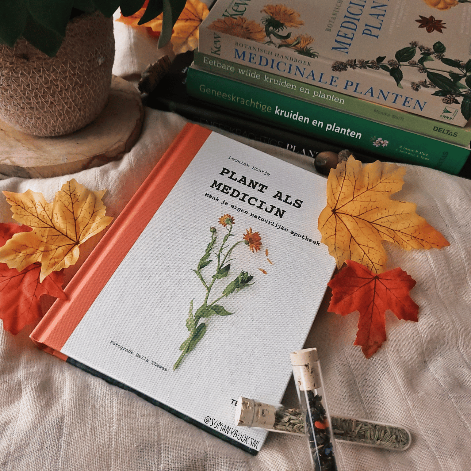 Recensie: Plant als medicijn • So Many Books